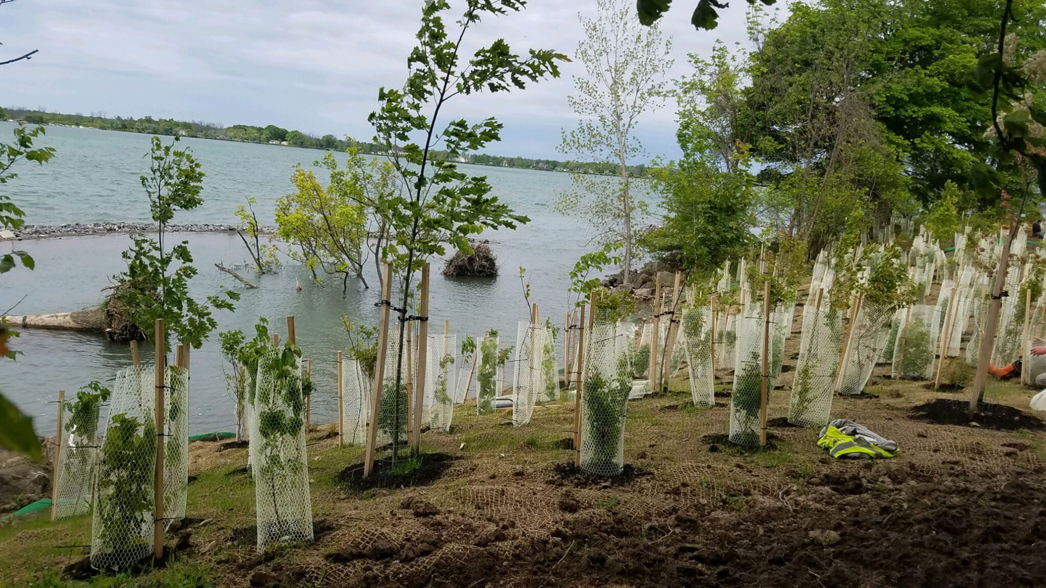 Ecological Construction & Restoration - LaBella