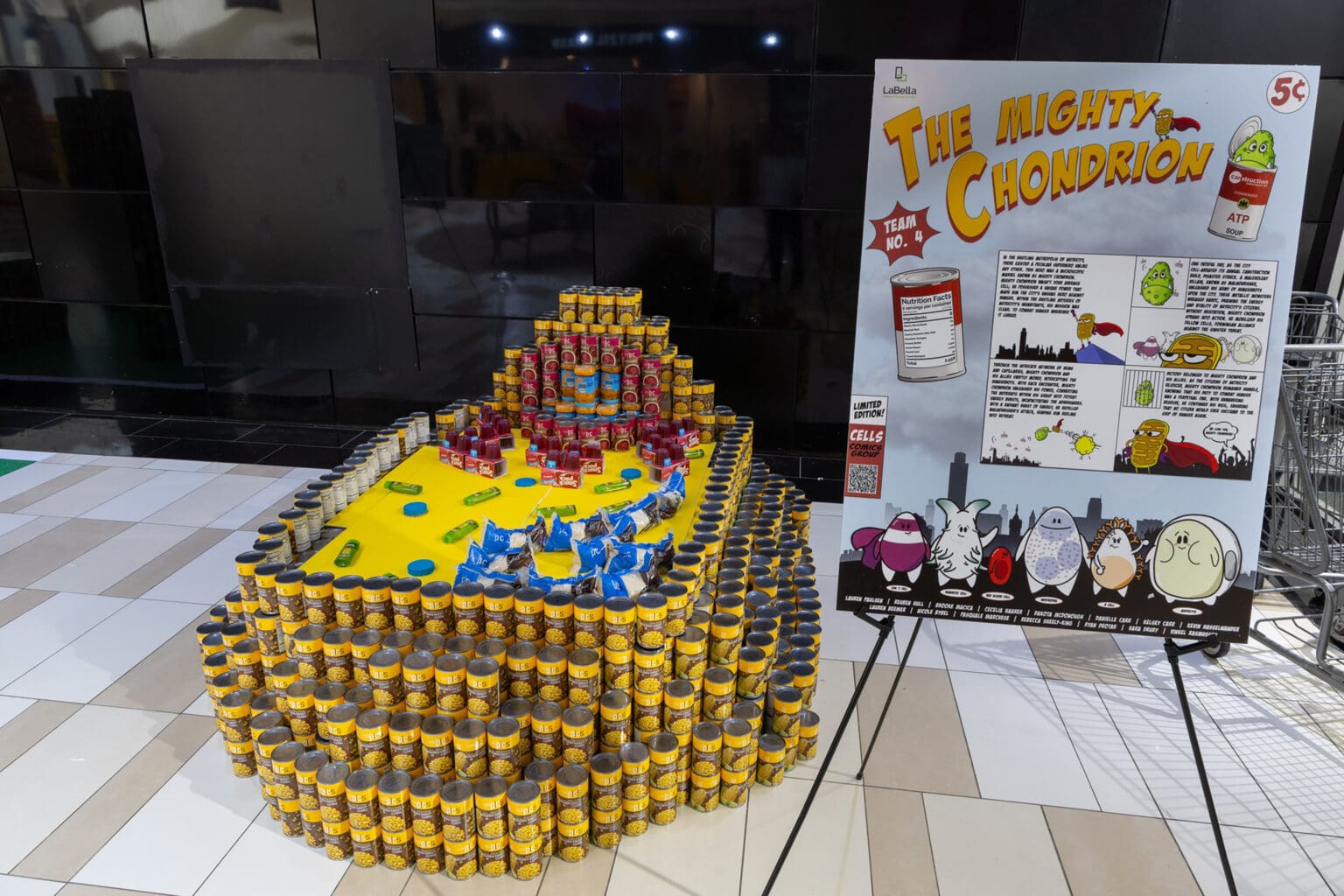 LaBella Builds Human Cell Structure for 2024 Capital Region ...