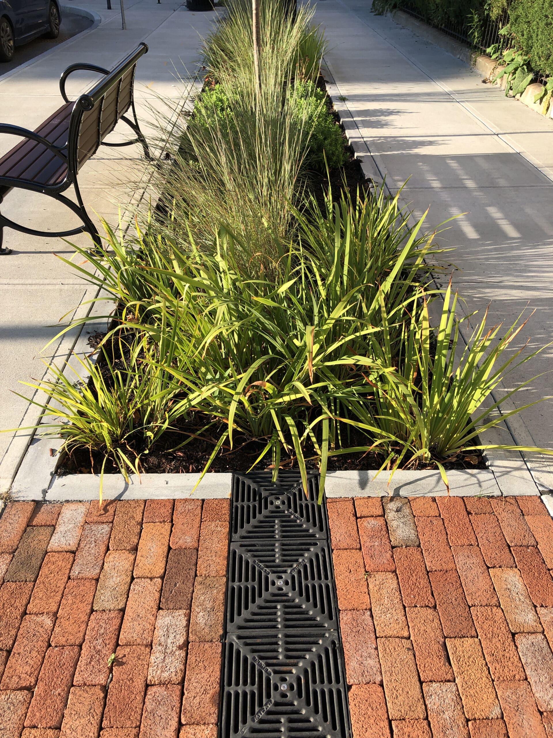 City of Cohoes Remsen Streetscape Improvements - LaBella